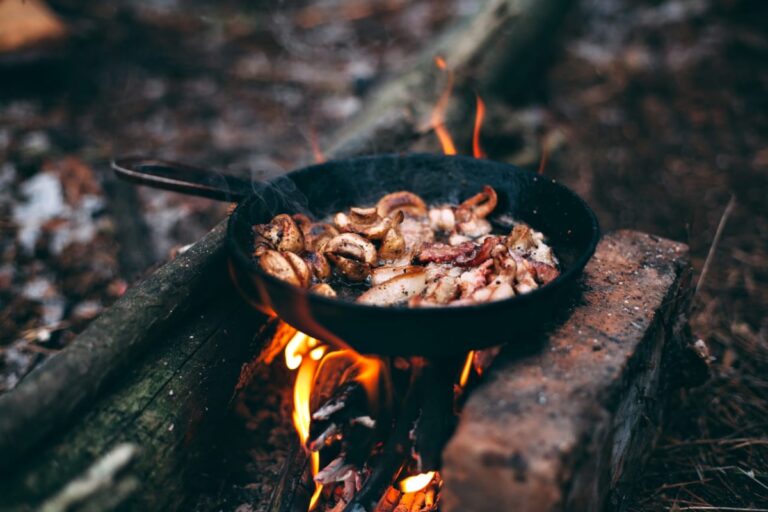 How to Cook Food Over a Campfire - RV Life & Travel